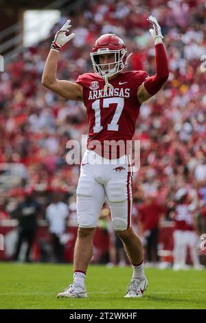 Arkansas defensive back Hudson Clark (17) runs a play against ...