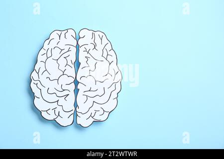 Paper brain hemispheres on light blue background, top view Stock Photo ...