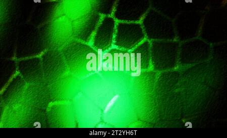 Chloroplast cell animation under the microscope. Motion. Microscopic formation in a plant cell ...