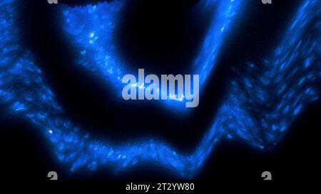 Fluctuating arcuate shapes on a black background. Motion. Water glowing ...