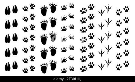 Animals foot marks. Animal footprint, animals paw silhouettes, bear ...