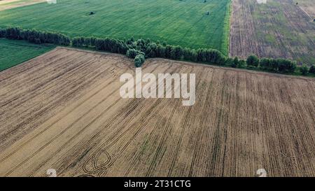 Agricultural fields, top view. Farmed fields, bird's-eye view of the ...