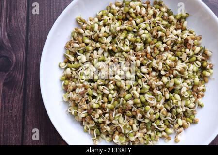 Sprouted moong beans. Protein rich salad. Healthy snack items. Sprouted ...