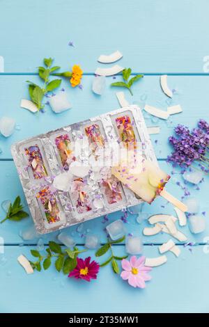 Homemade lemonade ice pops with herbs, edible flowers and coconut ...