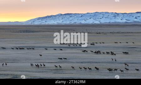 Ruoqiang. 17th Oct, 2023. This aerial photo taken on Oct. 17, 2023 ...