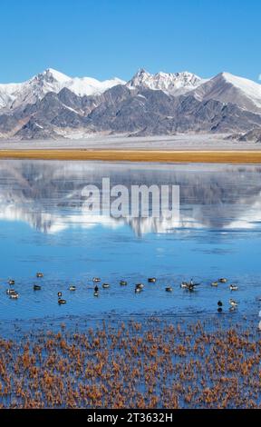 Ruoqiang. 18th Oct, 2023. This aerial photo taken on Oct. 18, 2023 ...