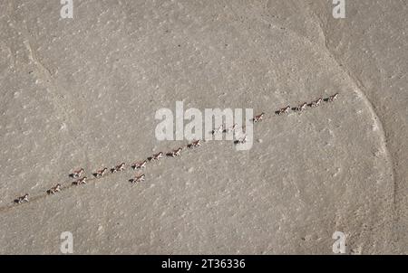 Ruoqiang. 17th Oct, 2023. This aerial photo taken on Oct. 17, 2023 ...