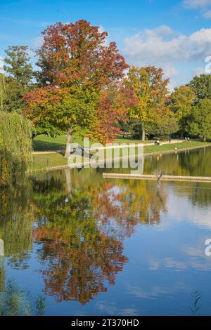 Herbst Bäume Volkspark Schöneberg, Tempelhof-Schöneberg, Berlin ...