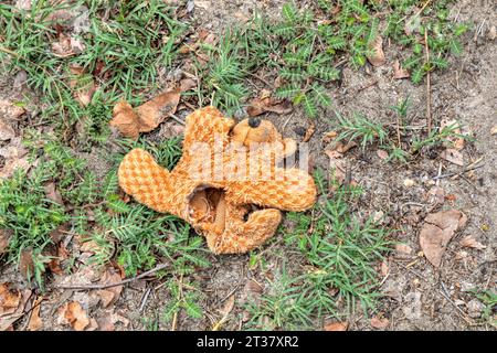Abandoned stuffed bear Stock Photo - Alamy