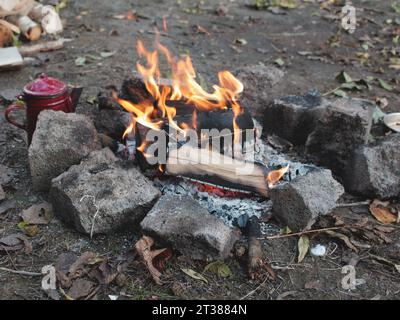 A stunning landscape with a campfire in a grassy clearing surrounded by ...