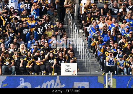 A fan holds a sign during an NFL football game between the Carolina ...