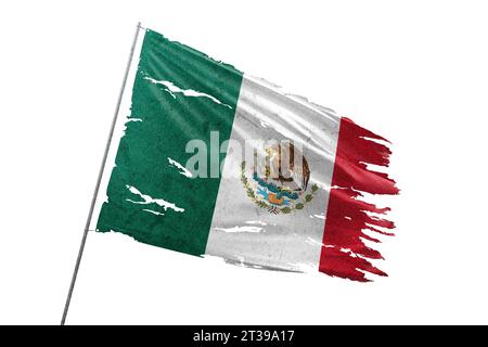 Mexico torn flag on transparent background with blood stains Stock ...