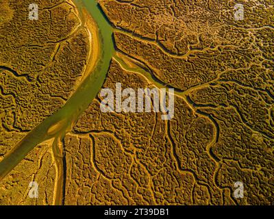 Aerial view of intricate river patterns with sediment in the water ...
