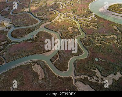 Aerial view of a colorful marshland with intricate water patterns and ...