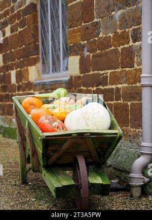 Display of autumn pumpkins at Canons Ashby, Northamptonshire Stock ...