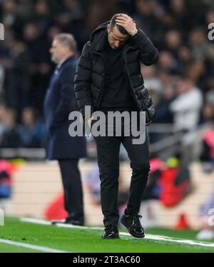 Fulham's head coach Marco Silva reacts during the English Premier ...