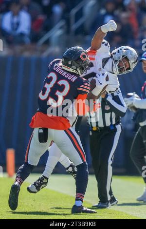 Chicago Bears cornerback Jaylon Johnson (1), defensive back Dillon ...