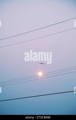 Power lines against blue sky Stock Photo - Alamy