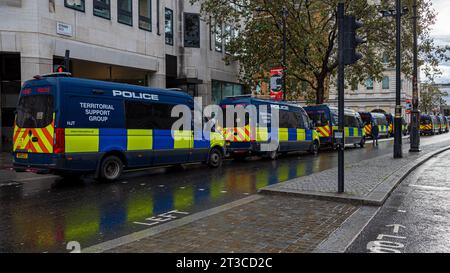Metropolitan Police Territorial Support Group (TSG) van Stock Photo - Alamy