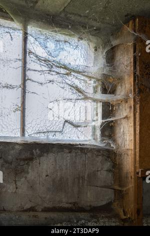 Cobwebs in an abandoned cellar Stock Photo - Alamy
