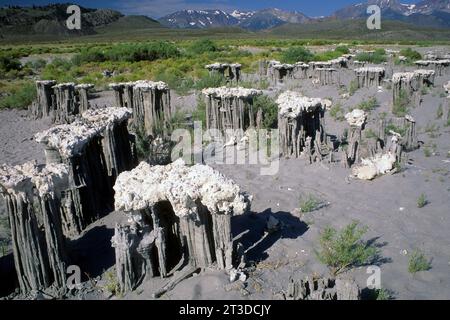 Sand Tufa, Navy Beach, Mono Lake, Eastern Sierra, CA, USA Stock Photo ...