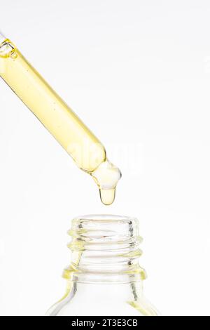 Yellow liquid dripping from pipette into petri dish closeup. Study of ...