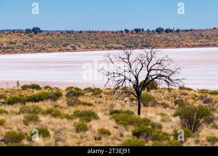 Salt Lake, near Mount Conner Lookout, Petermann, Northern Territory ...