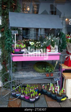 The Flower Shop, West Princes Street, Helensburgh Stock Photo - Alamy