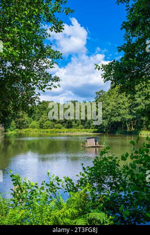 France, Morbihan, Questembert, Celac pond Stock Photo - Alamy