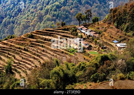 Nepal, Parbat district, Durlung Stock Photo - Alamy