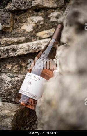 France, Gard, Bourdic, wine cooperative Collines du Bourdic, Côtes du ...