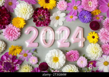 Numbers and dahlia flowers. 2024 new year idea concept. Trendy color of ...