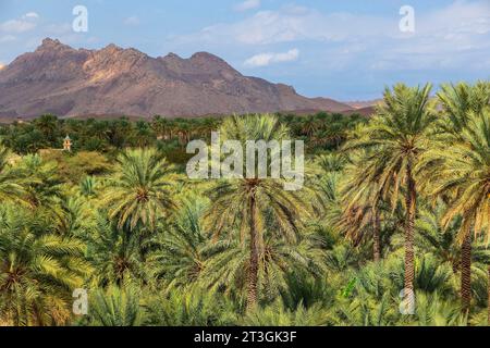 Sultanate of Oman, Ibri region, Bat, UNESCO-listed necropolis Stock ...
