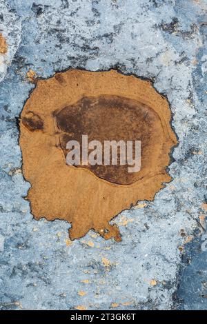Sultanate of Oman, Ibri Region, Damm, Wadi Damm, dam Stock Photo - Alamy