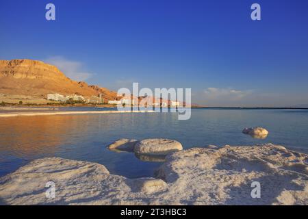 Salt deposits, typical landscape of the Dead Sea, Israel Stock Photo - Alamy
