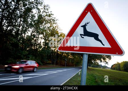 Symbolfoto Wildunfaelle DEU/Deutschland/Sachsen/Bluno, 25.10.2023, Ein ...