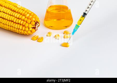 Corn kernels with syringe. Genetically modified crops, herbicide and ...
