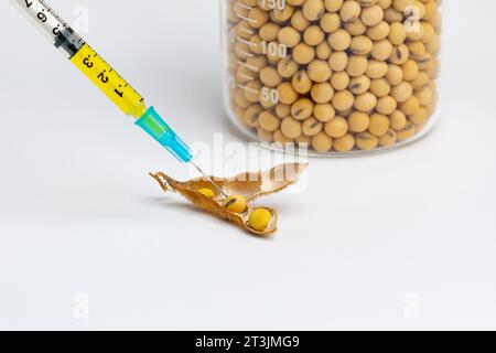 Soybeans in pod with syringe. Genetically modified crops, herbicide and ...
