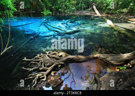The Emerald Pool (Sra Nam Phut) - Spring Pool is the origin of emerald ...