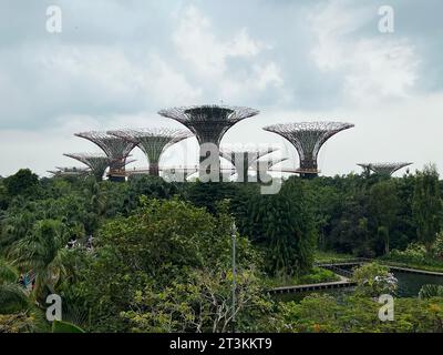 Solar Trees in the Gardens by the bay in Singapore. The Solar trees in ...