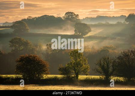 Autumn is coming on the high weald near Dallington east Sussex south ...