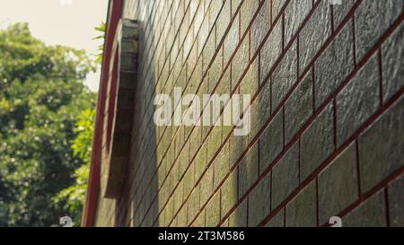 buildings with green walls, matching the backdrop of green trees Stock ...