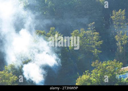 Bonfire smoke rising through trees - John Gollop Stock Photo - Alamy