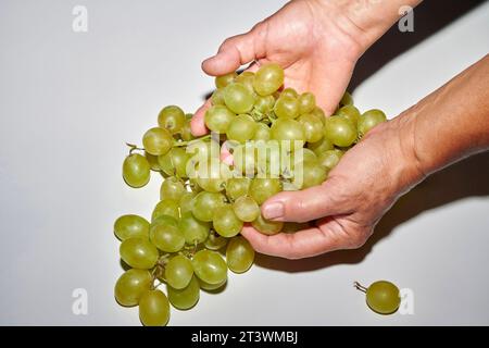 a woman holds grapes in her han Stock Photo - Alamy