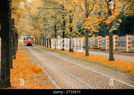 Old tram in the middle of an autumn alley in Prague Stock Photo - Alamy