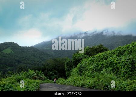 Beautiful nature scenery click from Wayanad Kerala Stock Photo - Alamy