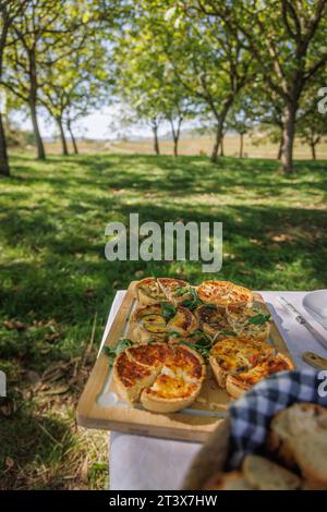 Quiches at an outdoor picnic in Burgundy, France Stock Photo - Alamy