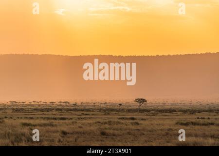 Beautiful scenery of the Mara Triangle in Kenya Stock Photo - Alamy