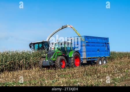 Mark Troy Agricultural Contractors, West Cork, Ireland, harvests maize ...