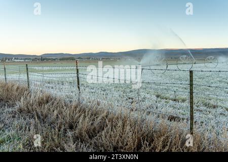 Irrigation System on a sub-freezing morning before dawn Stock Photo - Alamy